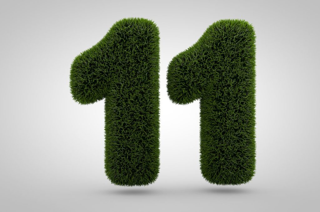 Bedeutung und Eigenschaften der Lebenszahl 11