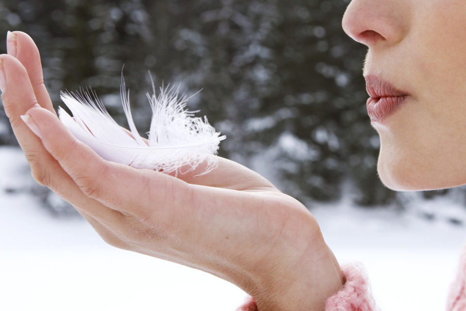 Die Feder Bedeutung — symbolische und spirituelle Eigenschaften